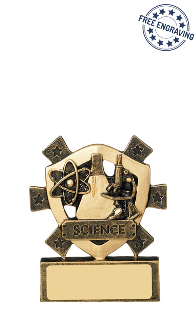 School Mini Star & Shield Trophies | FREE Engraving | FAST Delivery ...