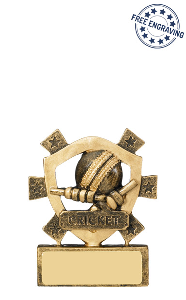 Generic Cricket Trophies | FREE Engraving FREE Logo FAST Delivery ...